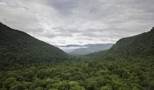 ECOLOGO Certification for Mineral Exploration | UL Solutions in Canada